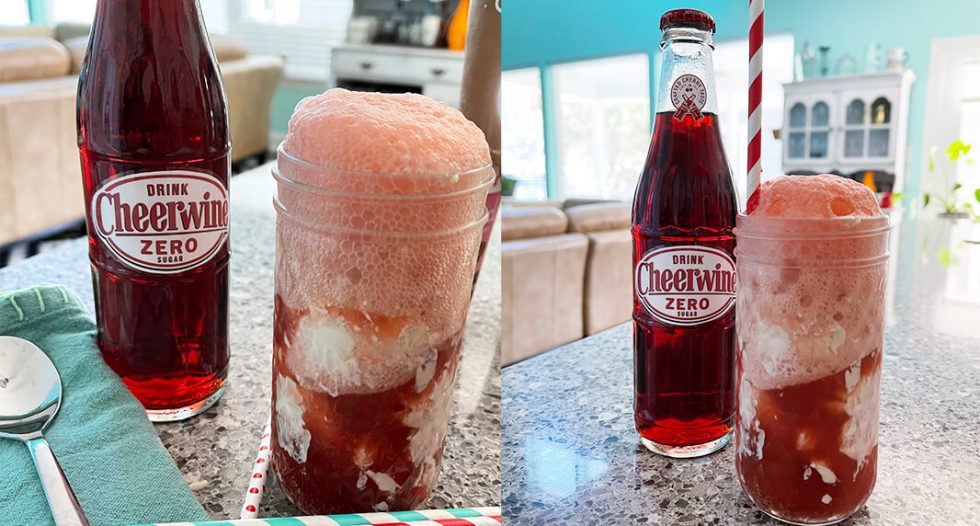 Low Carb Cheerwine Zero Sugar Float Recipe